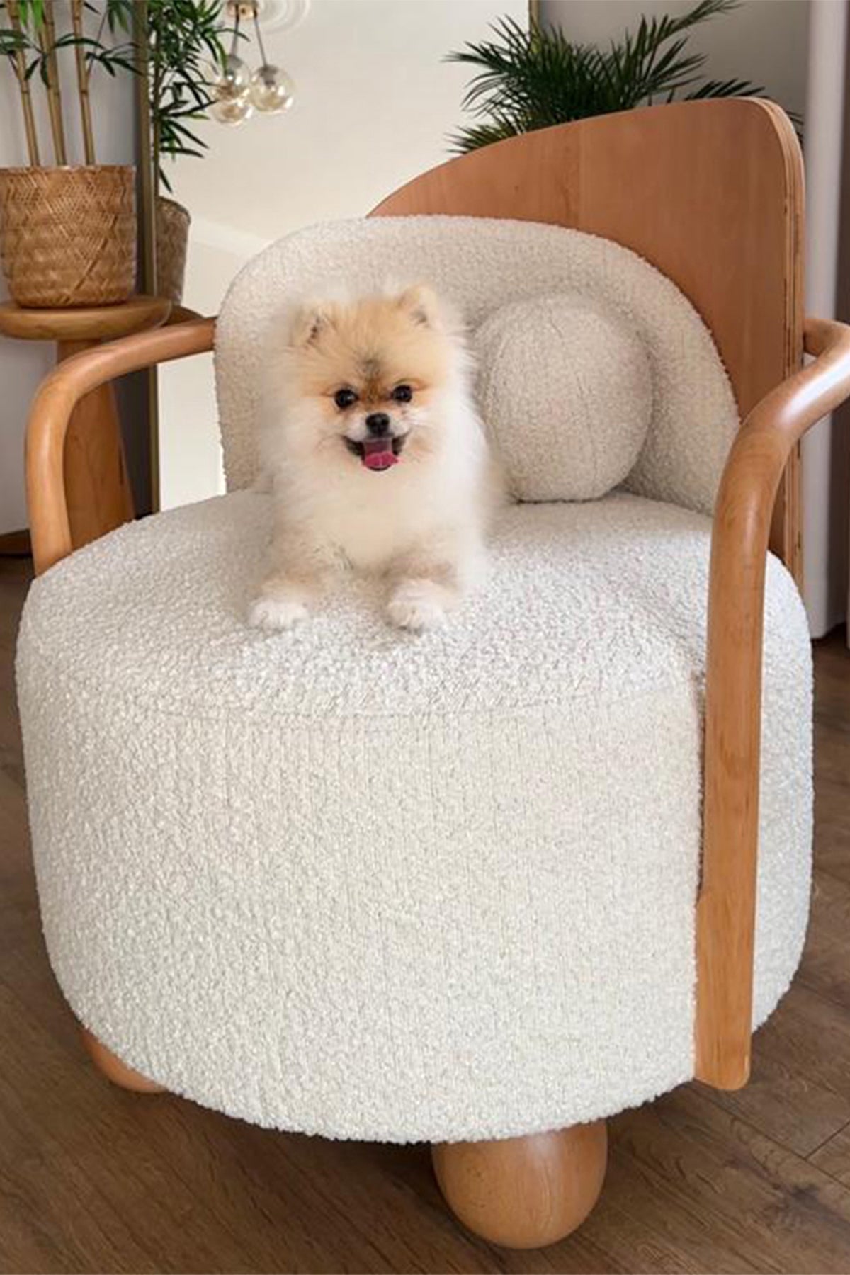 Ear Berjer Ve Teddy Top Yastık-Natural - Deekobjects